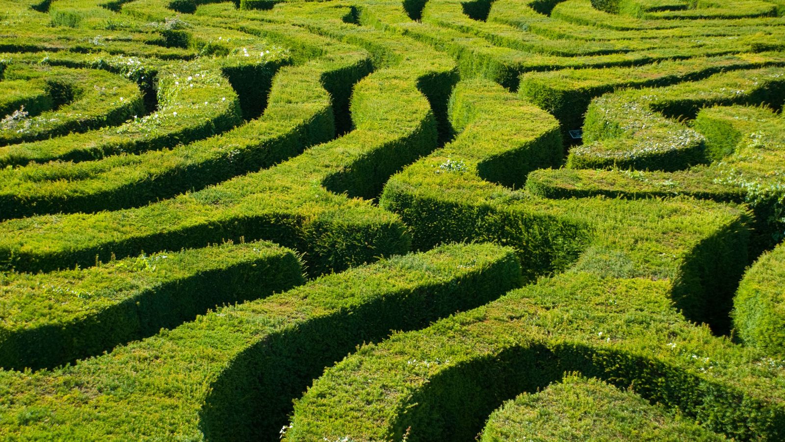 The Maze by unathiii_m