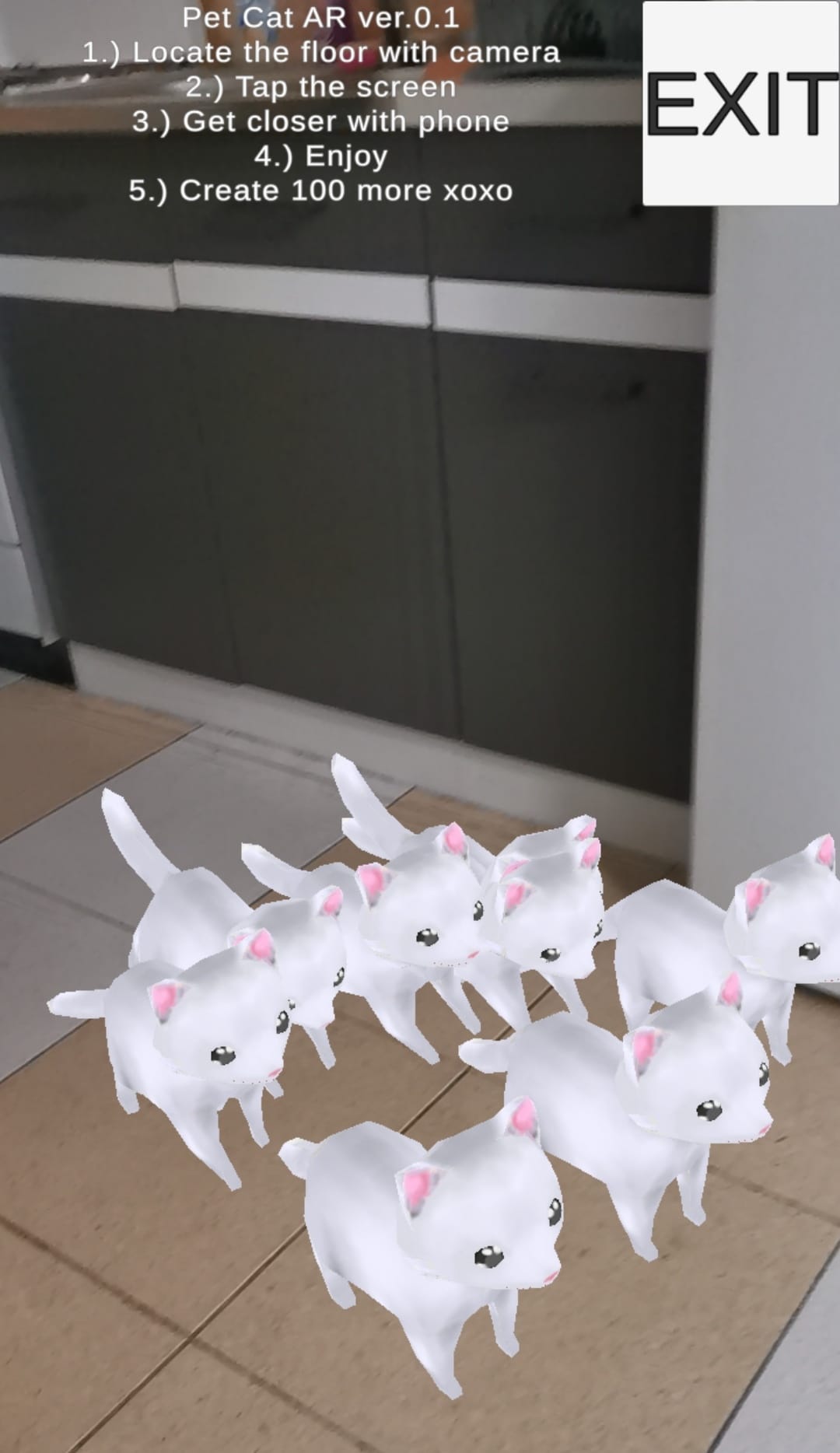 Pet Cat AR by njecolina