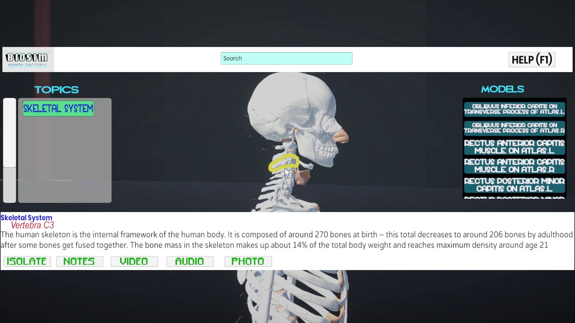 BioSim: Human Anatomy by Nyabingi
