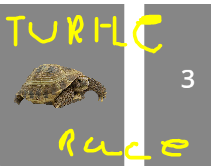 TURTLE RACE by Fire_turtleGamer