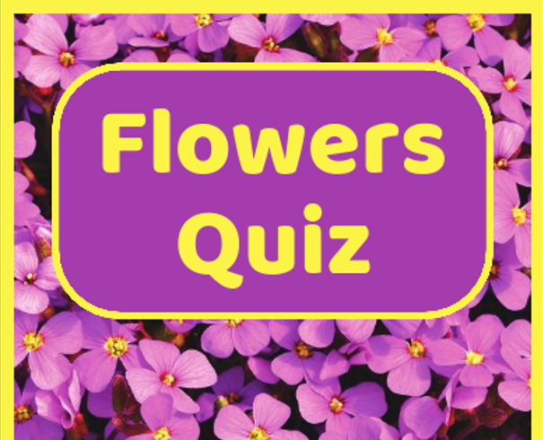 Flowers Quiz by godotgames32d