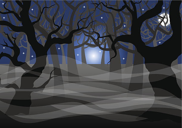 Haunted Forest by Avipatel_1702