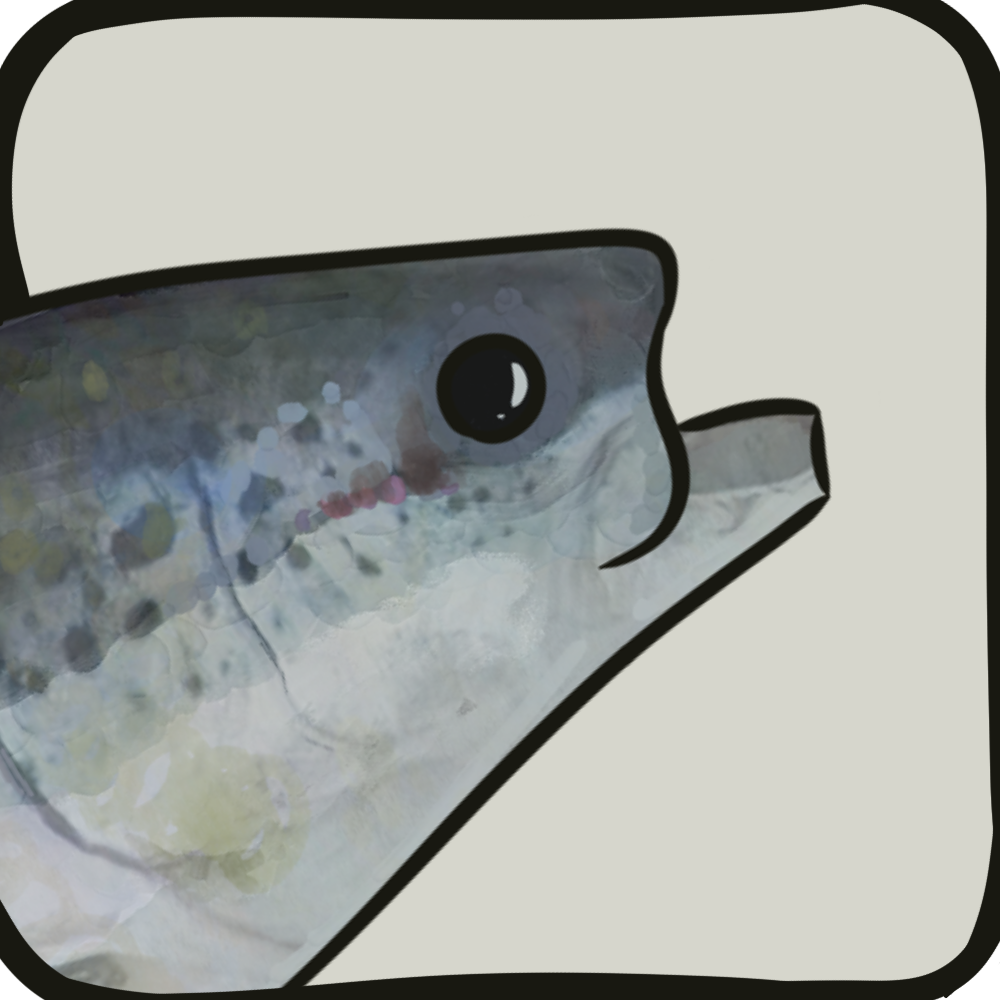 The Magic Salmon by Stone Salmon Studios