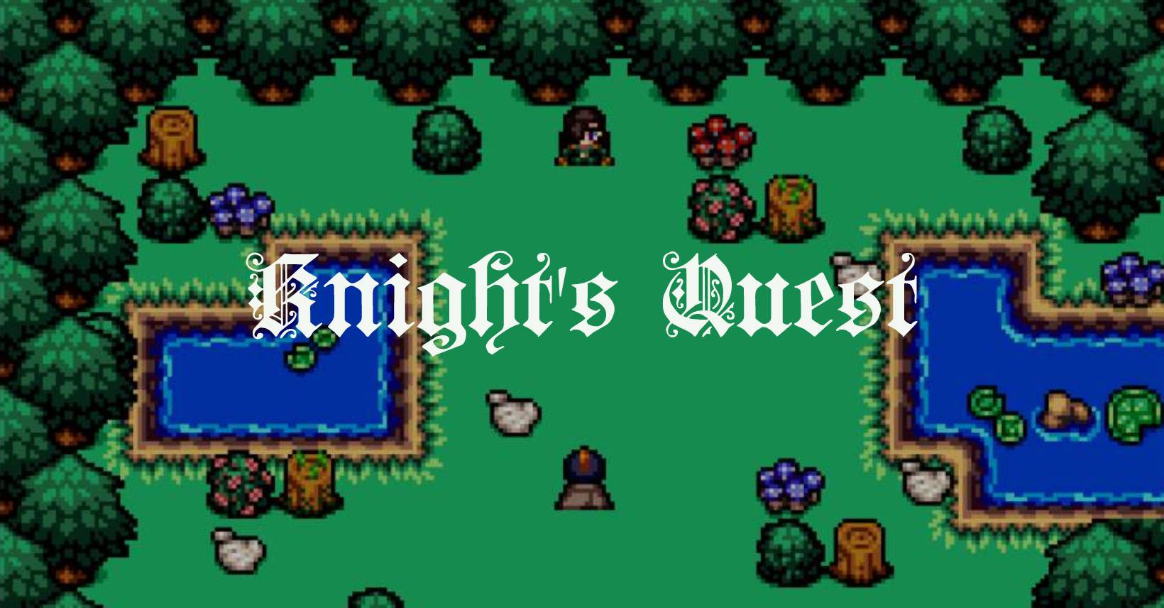 Knight's Quest by readwritebeawesome